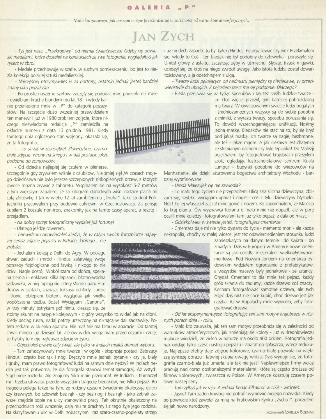 Galeria „P”. Jan Zych (29 stycznia 1995) - Archiwum - Kwartalnik Przekrój